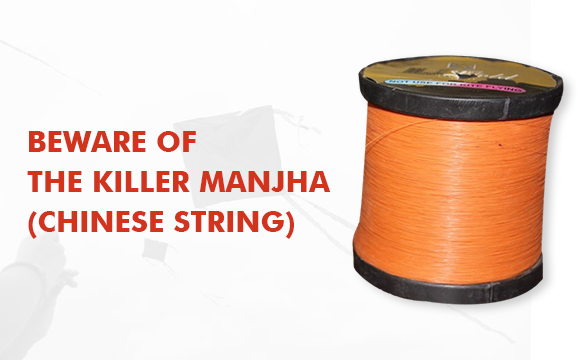 Beware of the Killer Manjha (Chinese String) - Dr. Ashish Gupta
